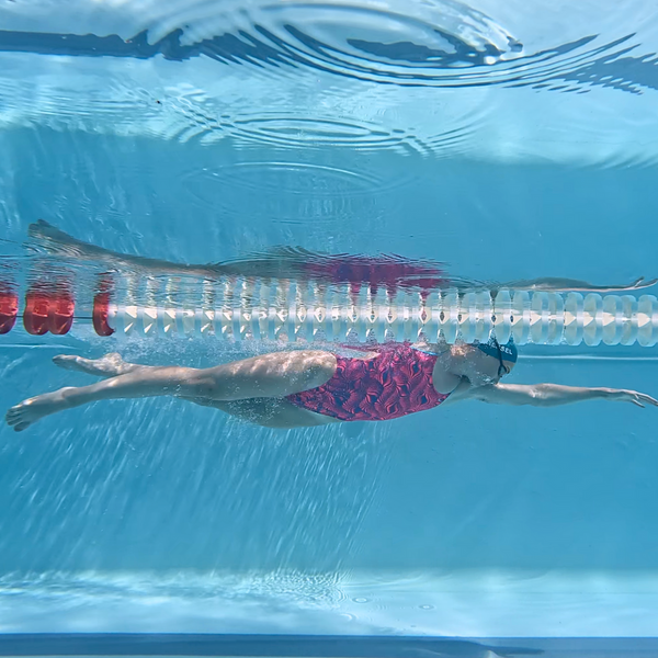 Crawl Ultimate 🏆 - Pack de formations premium en crawl. – Apprentissage ...